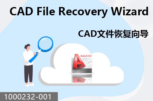 Data recovery tools